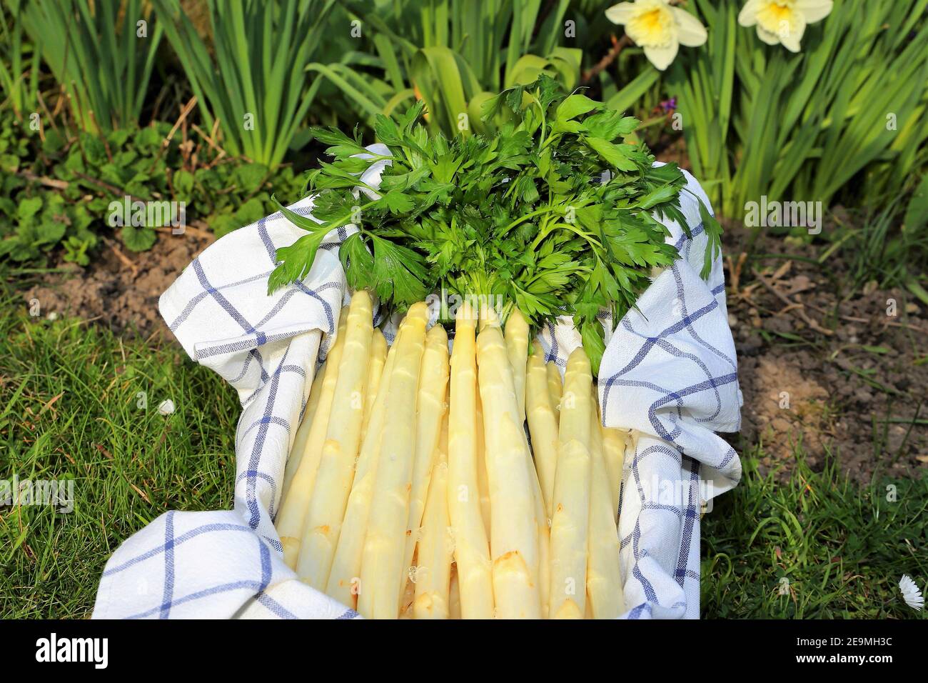 Asparagus in a box hi-res stock photography and images - Alamy