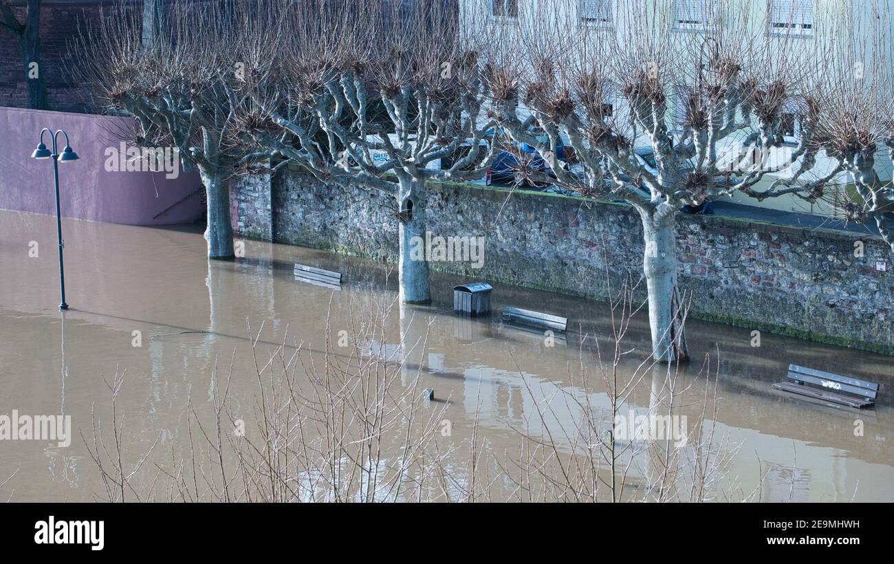 Trees, street lamps and a bench protrude from the water of the flooded ...