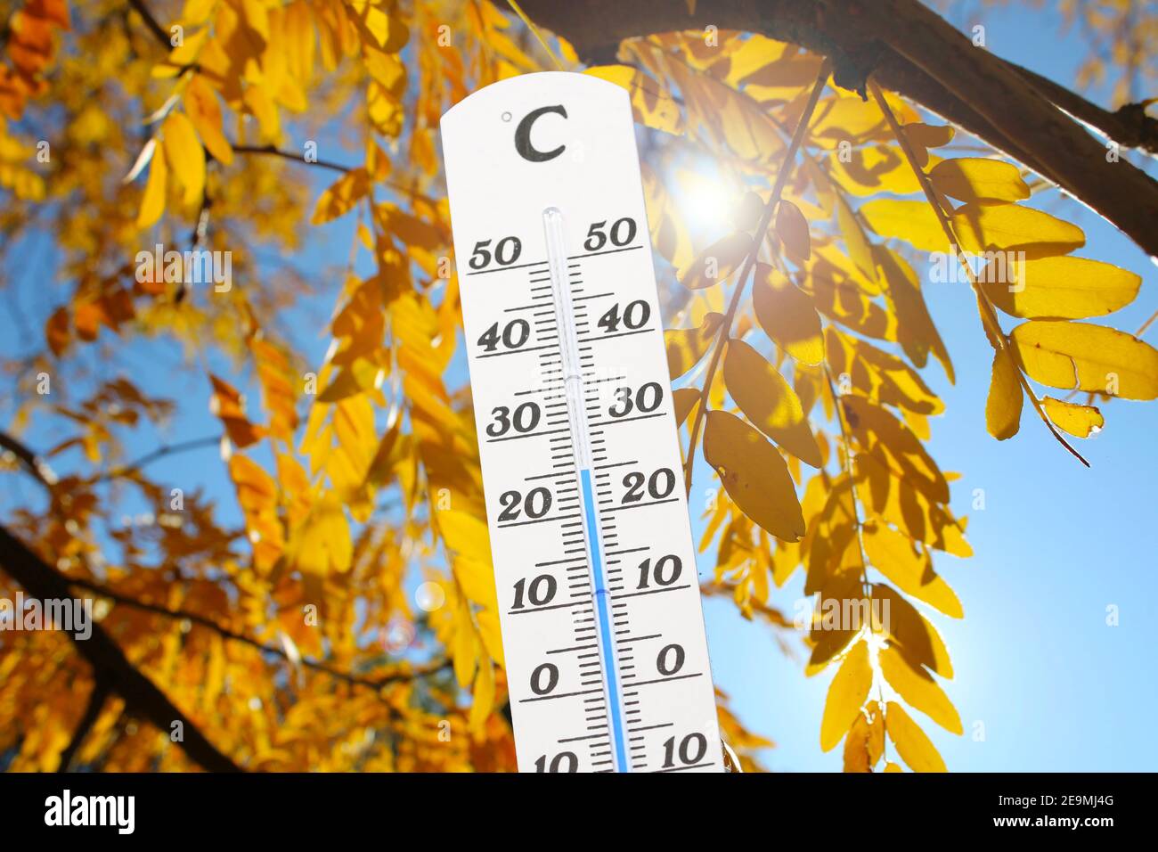 Symbol image: Thermometer in front of an autumn colored tree Stock ...