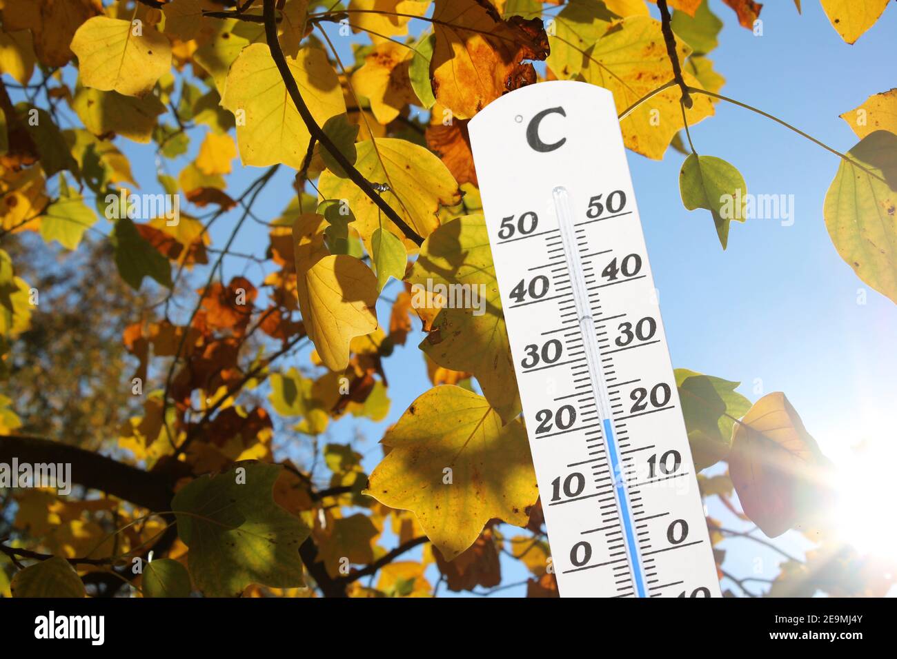 Symbol image: Thermometer in front of an autumn colored tree Stock ...