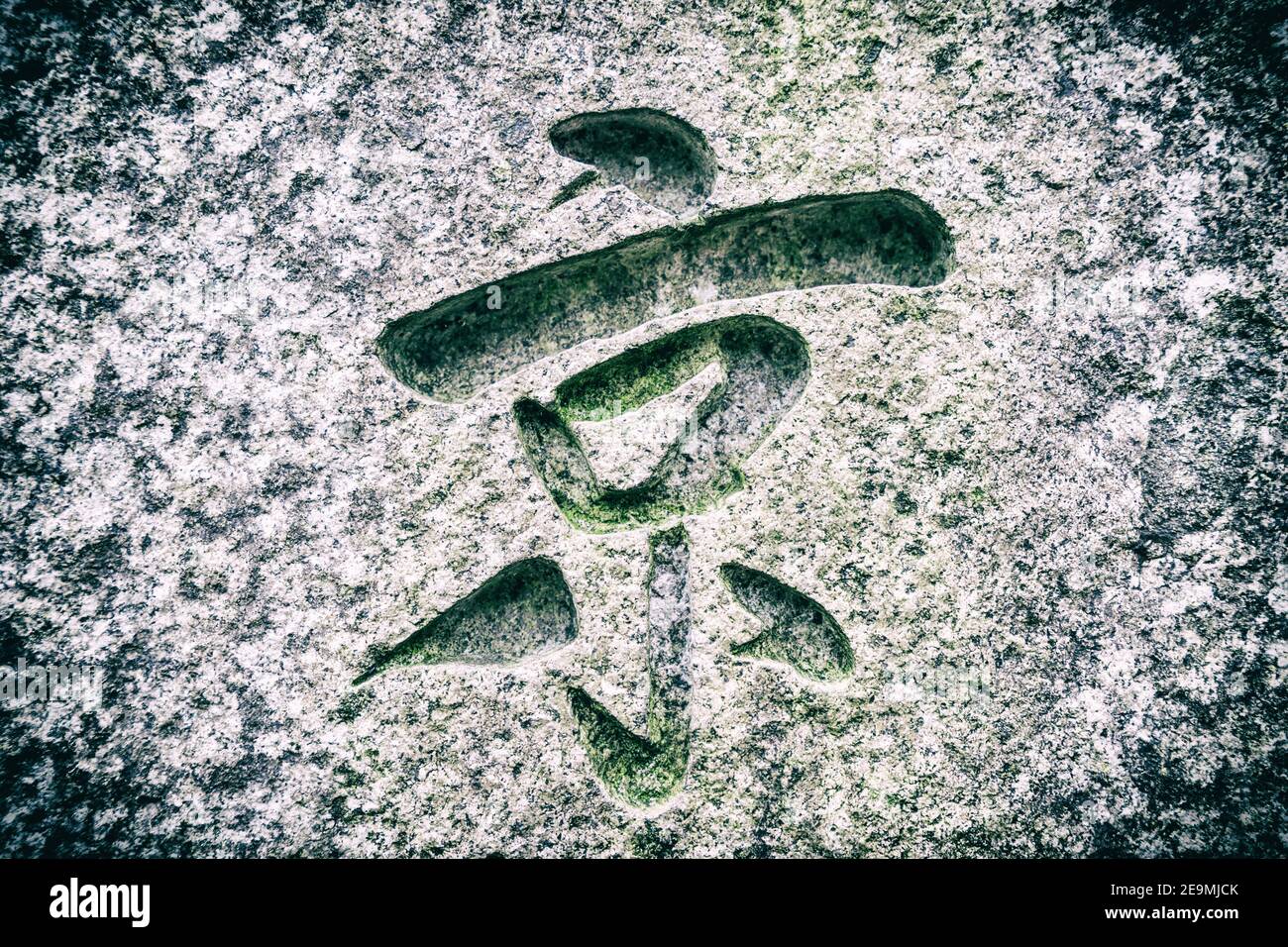 Sto letter hi-res stock photography and images - Alamy