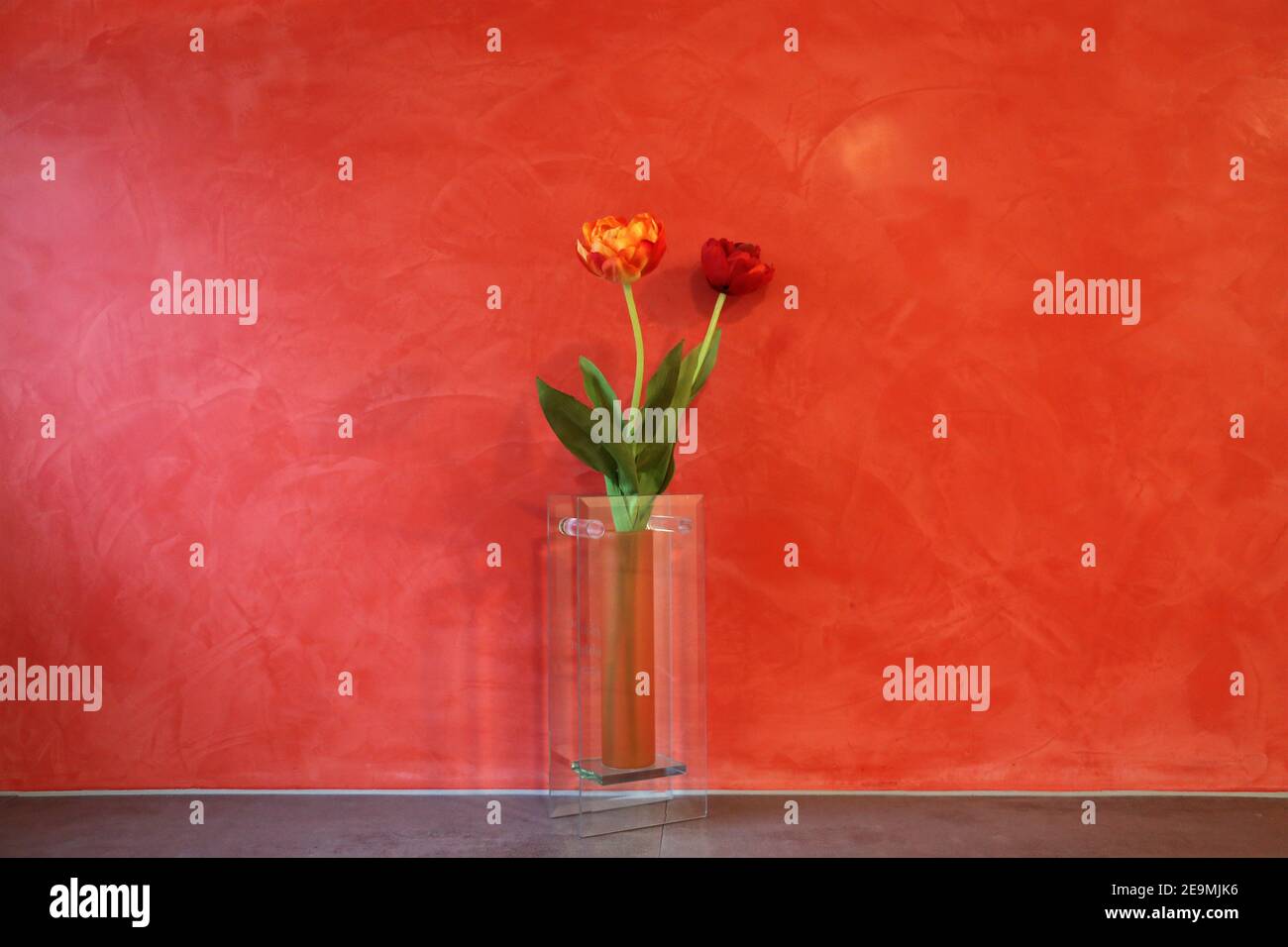 High quality wall design with Venetian spatula technique Stock Photo ...