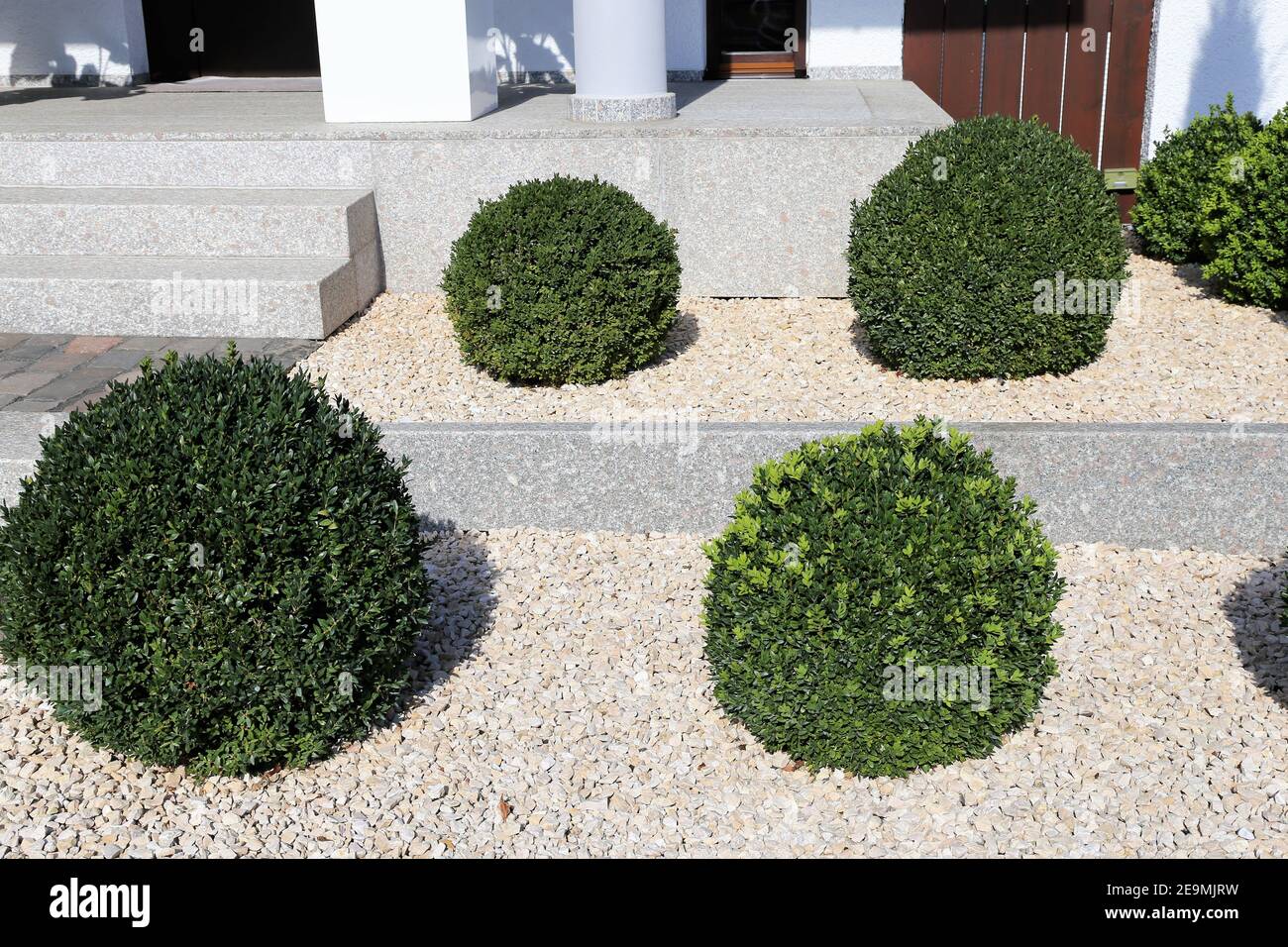 Boxwood front yard hi-res stock photography and images - Alamy