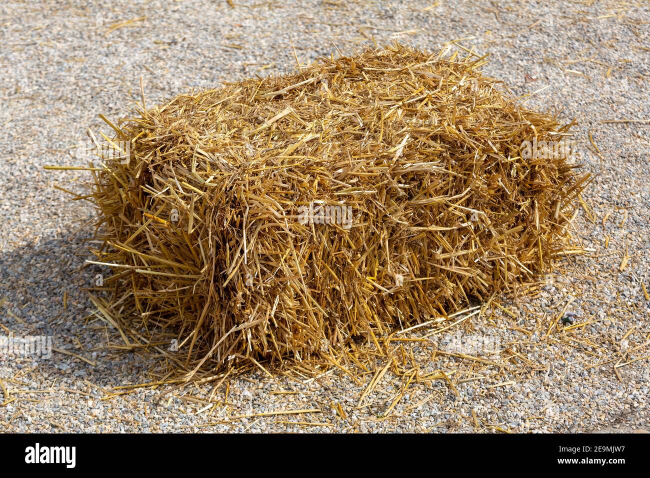 One Hay Straw Bale Animal Feed at Farm Stock Photo - Alamy
