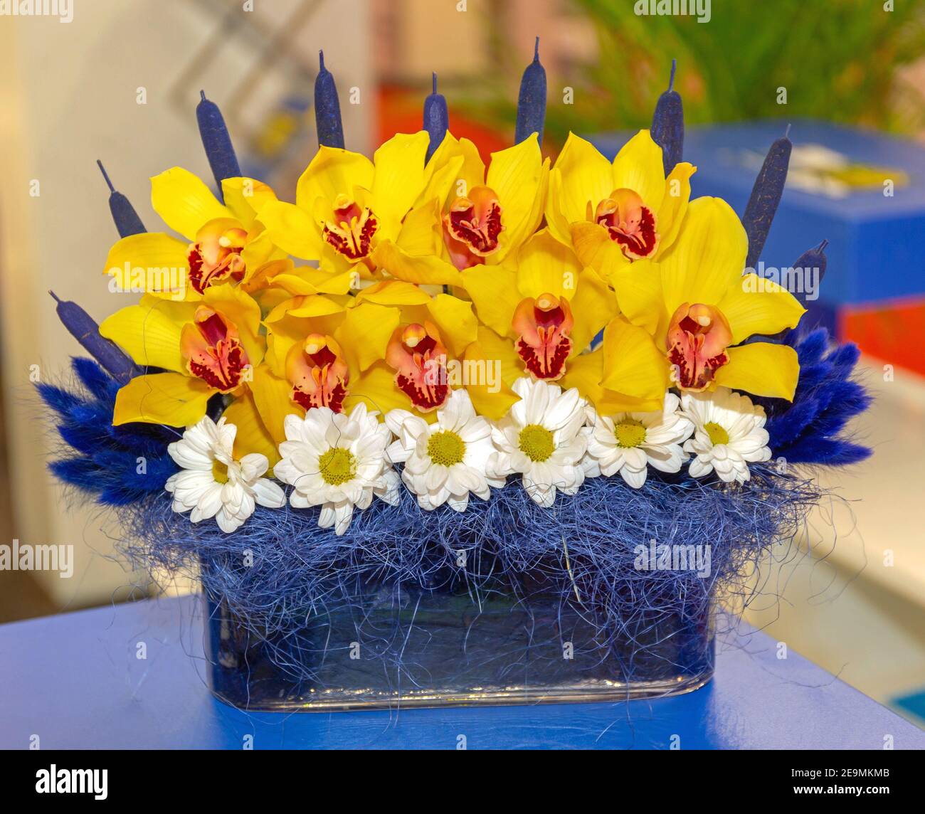 Fancy orchid hi-res stock photography and images - Alamy