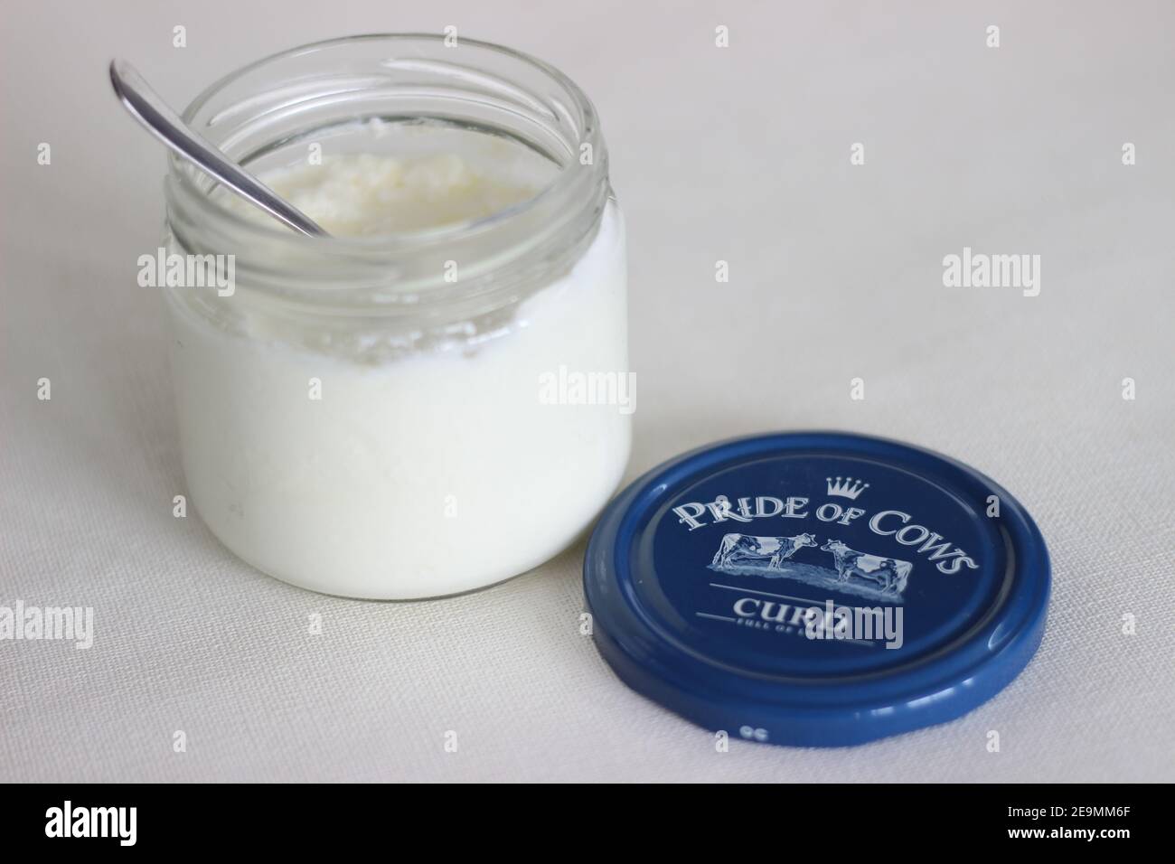 Mumbai, Maharashtra, India, February 05 2021: Curd from Pride of cows ...