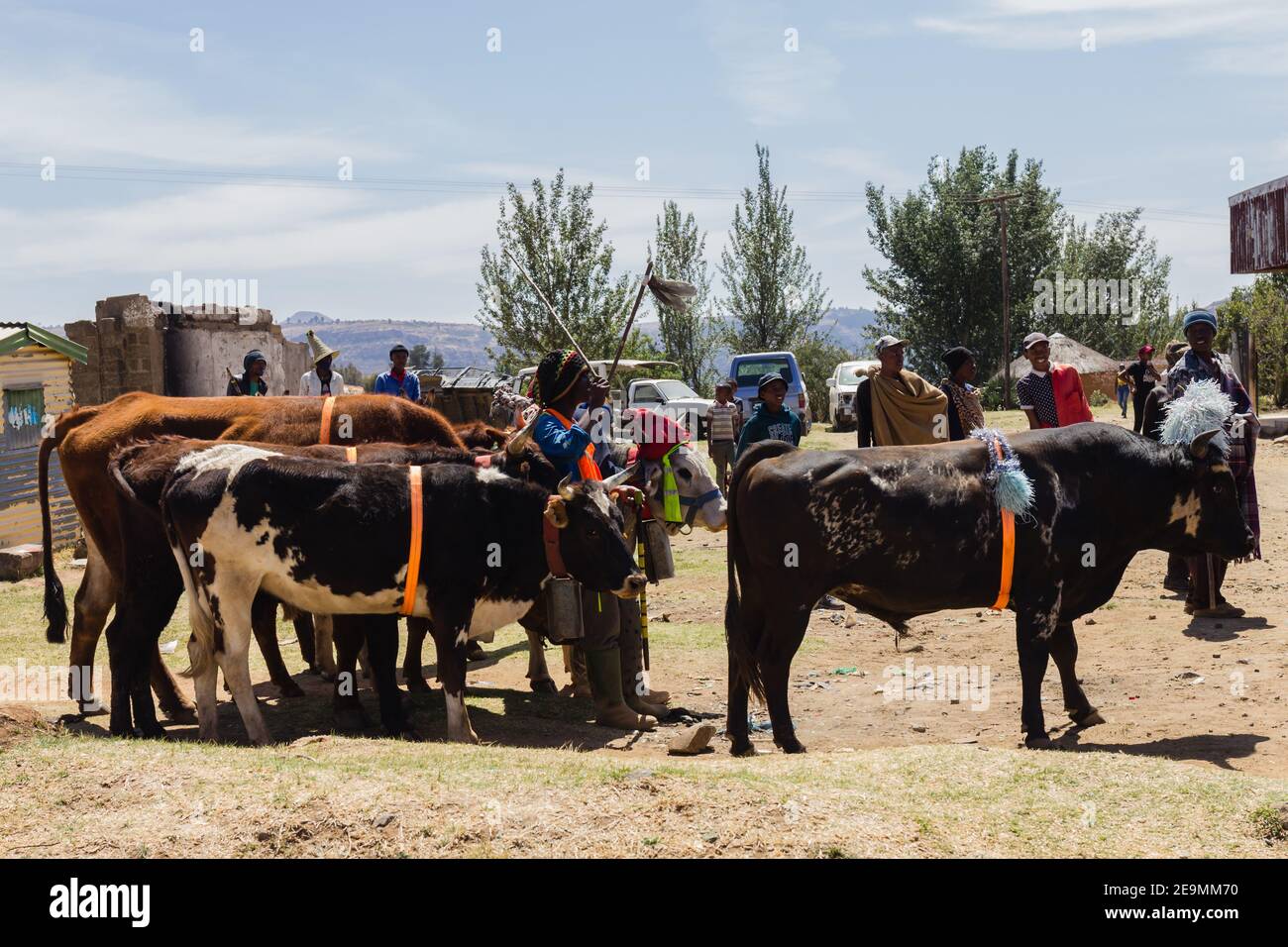Rural landscape, Kingdom of Lesotho, Africa Stock Photo - Alamy