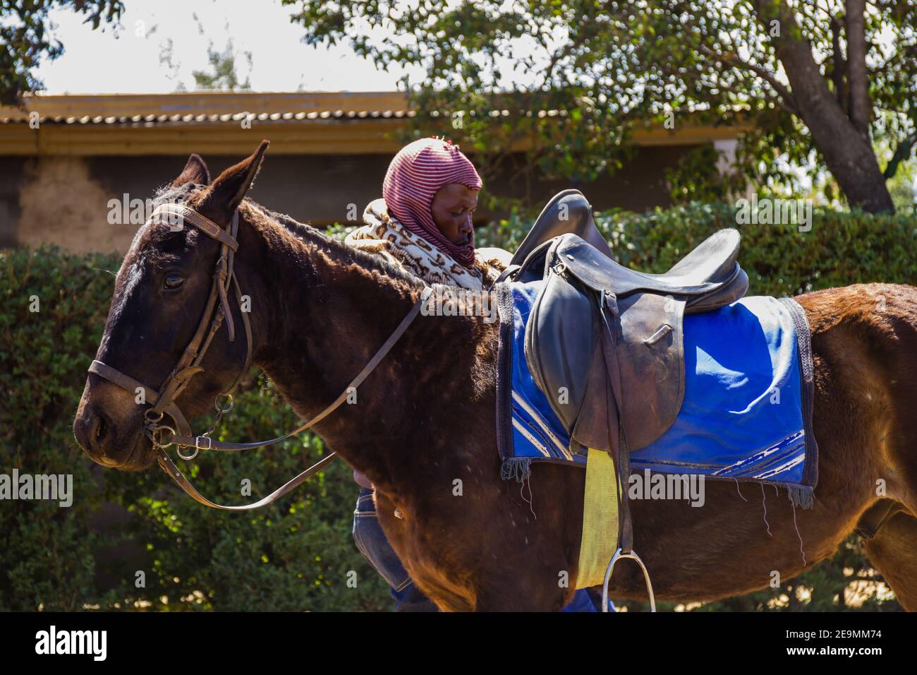 Basotho man and his horse, Kingdom of Lesotho, Africa Stock Photo - Alamy