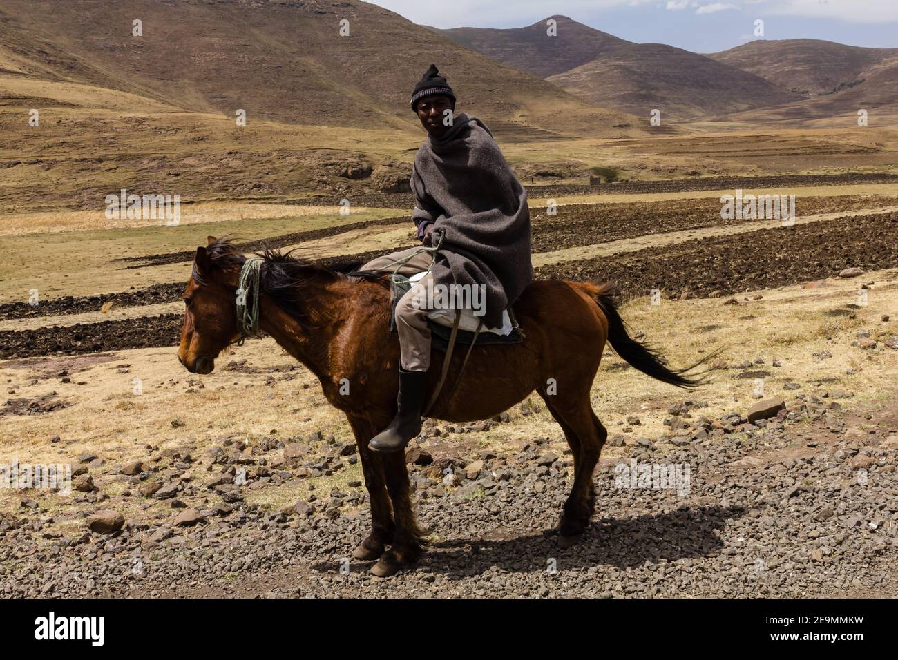 Max 63% OFF 1968-69 Lesotho SC# 53 - Basotho Pony Block of 4 M-NH ...