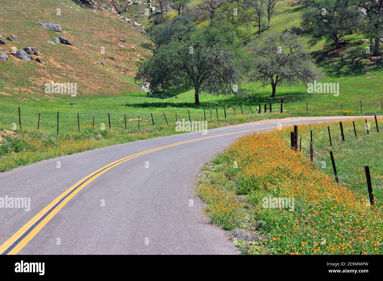 California rural road in countryside landscape of Tulare County Stock ...