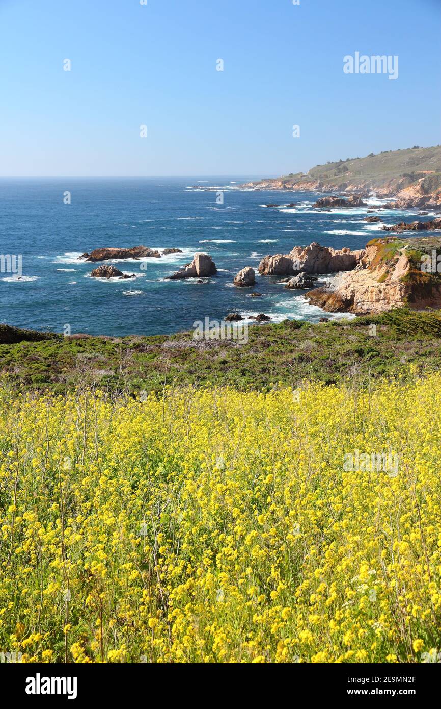 California nature - coast landscape in Garrapata State Park. Monterey ...