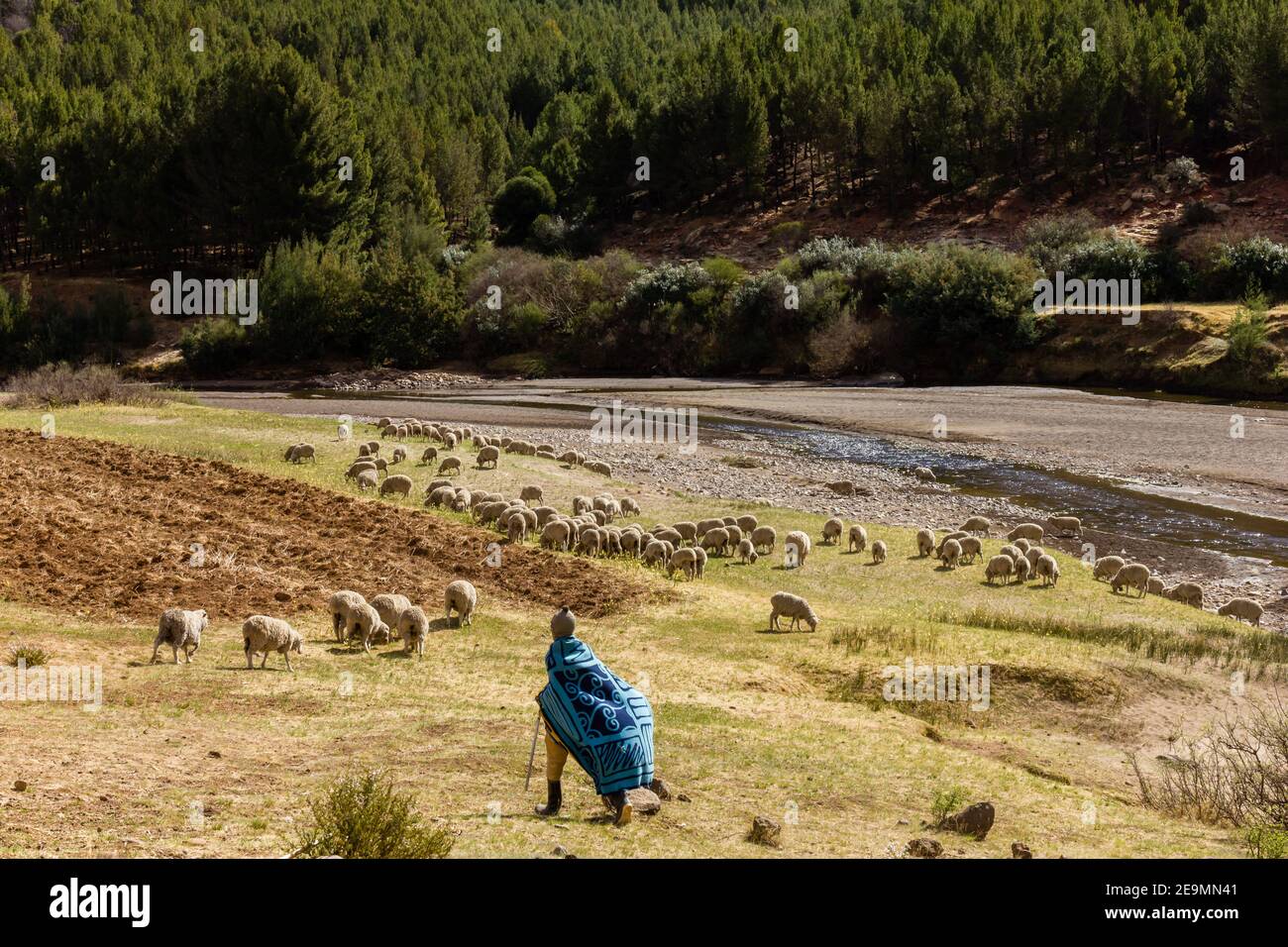 Basotho shepherd near Malealea, Lesotho, Africa Stock Photo - Alamy