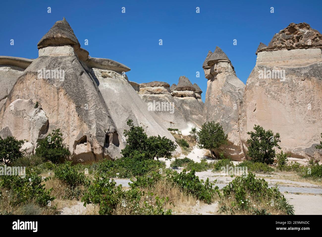 Fairy chimneys / hoodoos in Göreme National Park, Cappadocia, Nevşehir ...