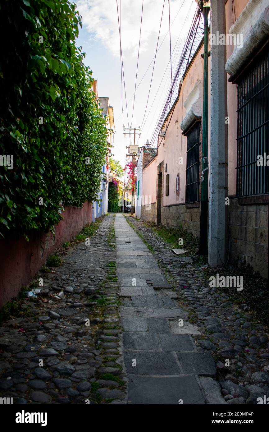 Colorful Hispanic houses and trees in alleys from Mexico City Stock ...