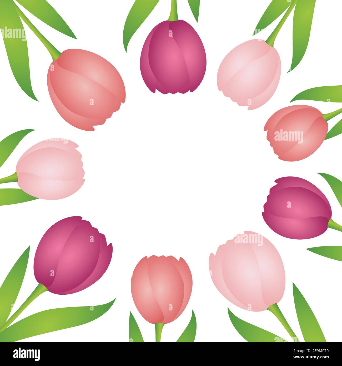 colorful tulips circle border isolated on white vector illustration ...