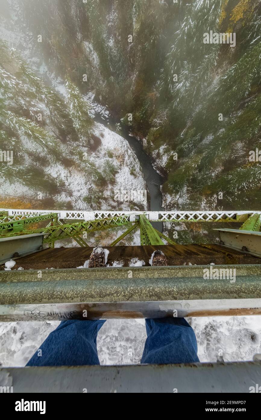 View down from High Steel Bridge, once a logging railroad bridge and ...