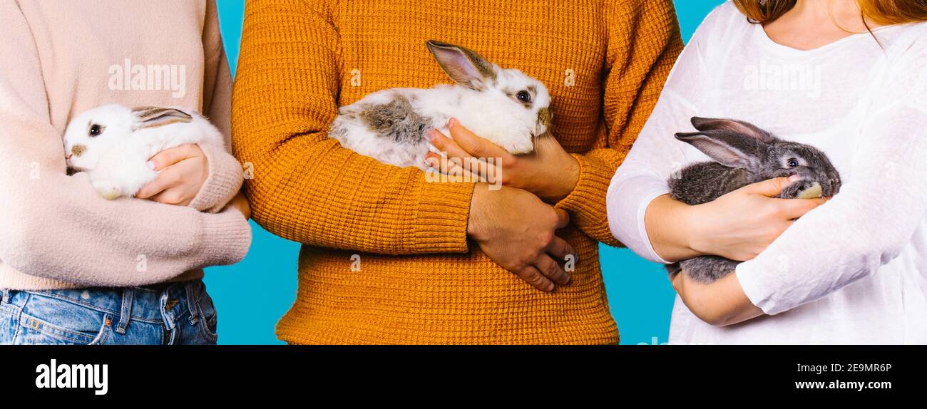 Banner- long format. Cropped photo, group of people holding rabbits on ...
