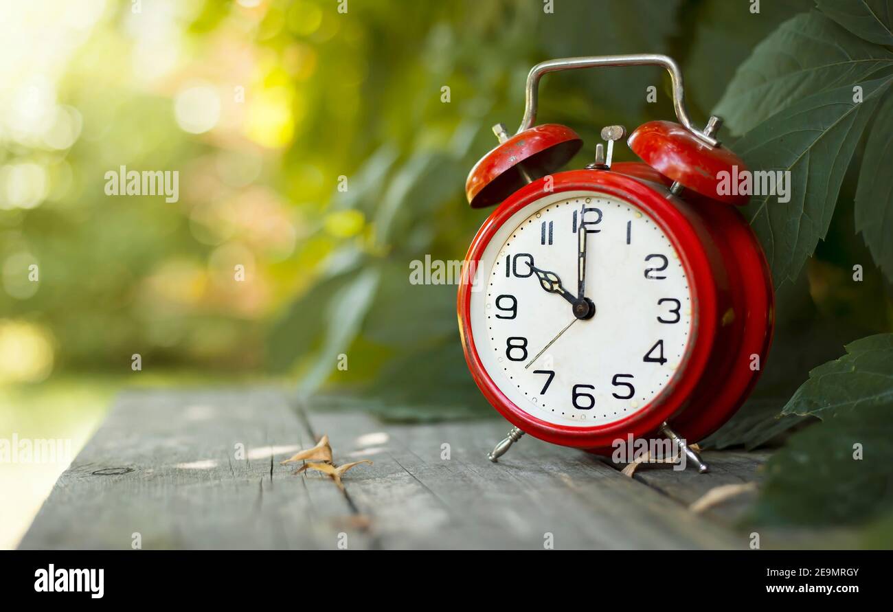 Red classic alarm clock in the garden. Save time, daylight saving ...