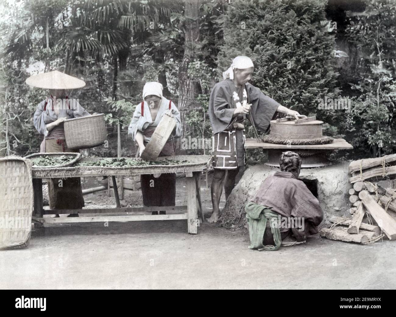 Processing tea vintage hi-res stock photography and images - Alamy