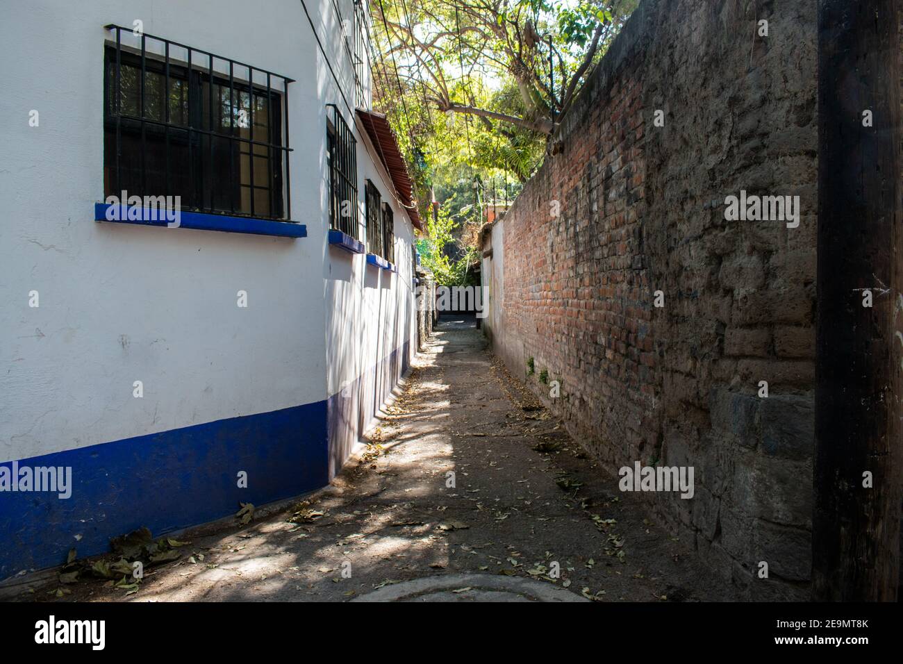 Colorful Hispanic houses and trees in alleys from Mexico City Stock ...