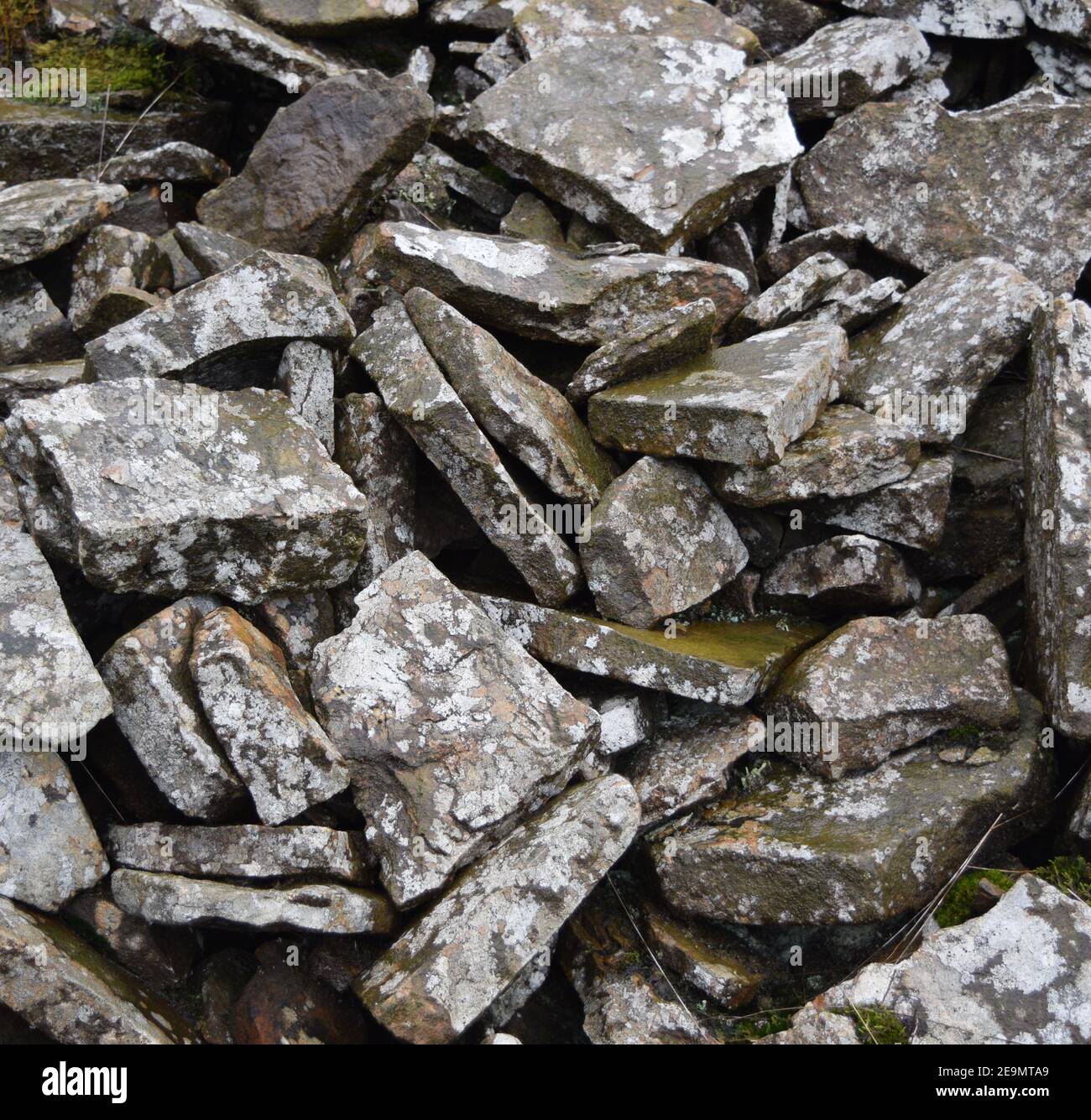 Close up of English dry stone wall for textured pattern Stock Photo - Alamy
