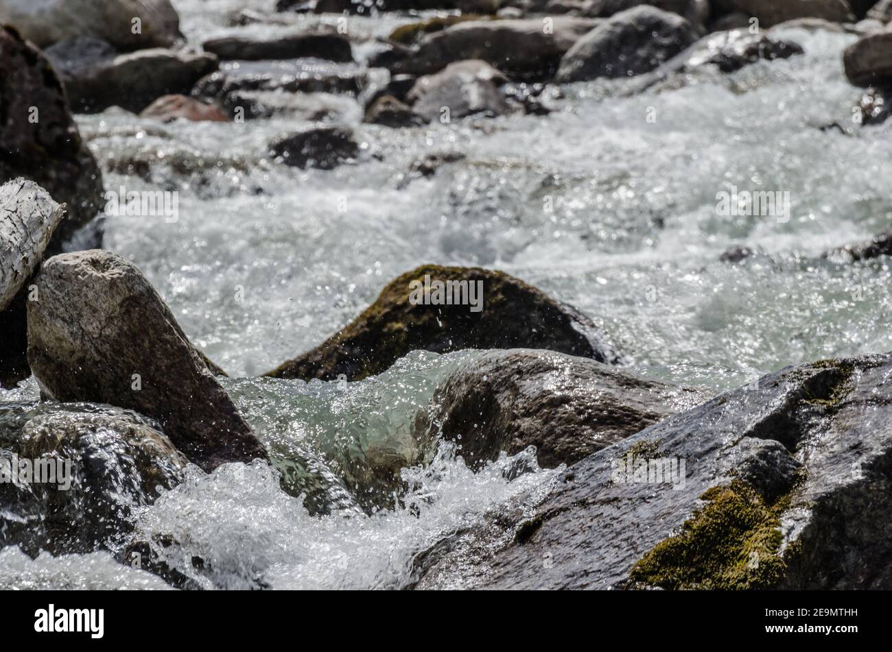 clear mountain stream in spring Stock Photo - Alamy