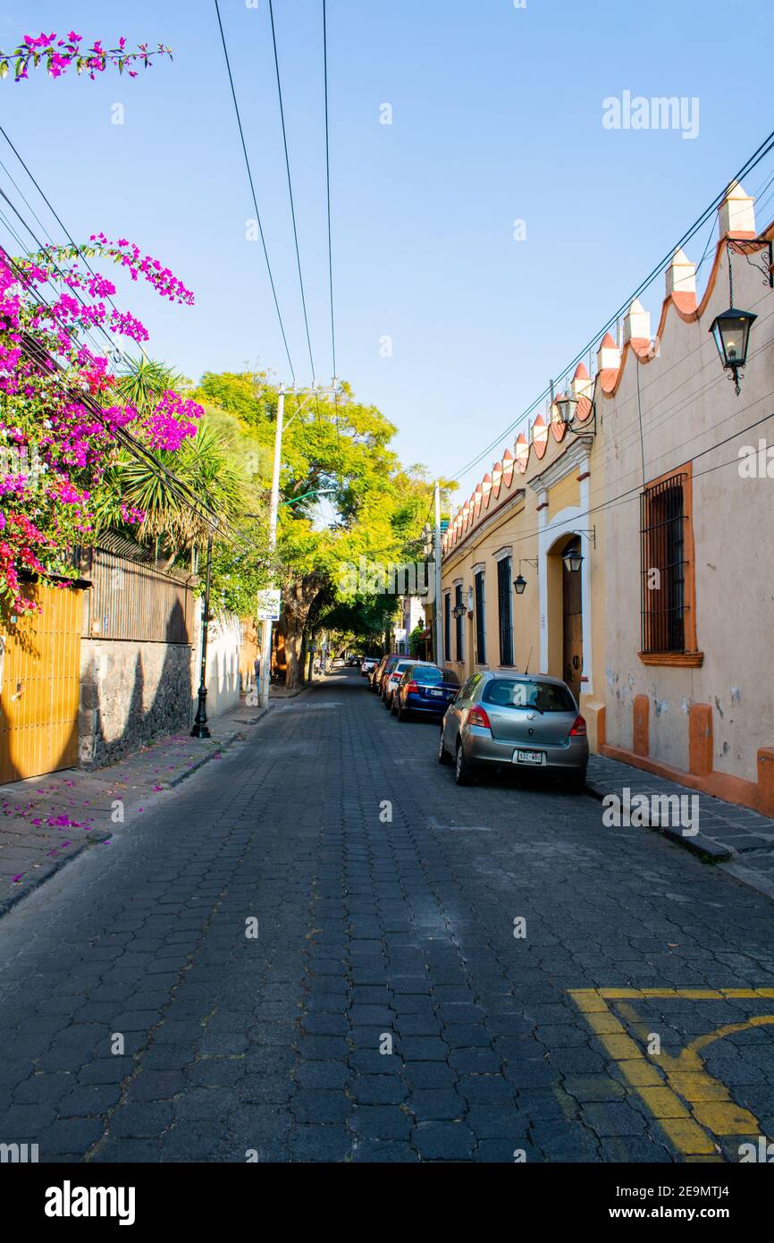 Colorful Hispanic houses and flowers in street from Mexico City Stock ...