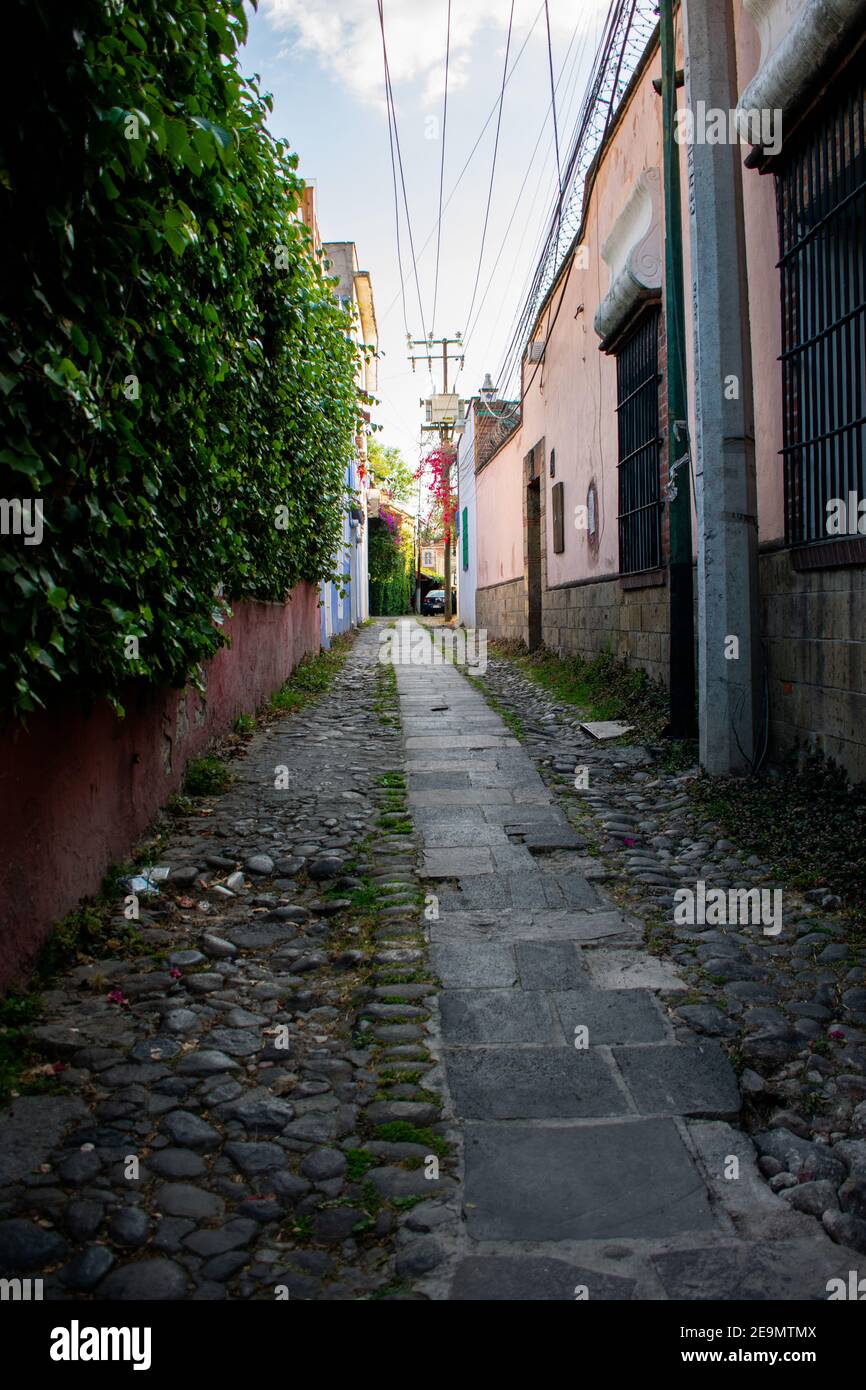 Colorful Hispanic houses and trees in alleys from Mexico City Stock ...