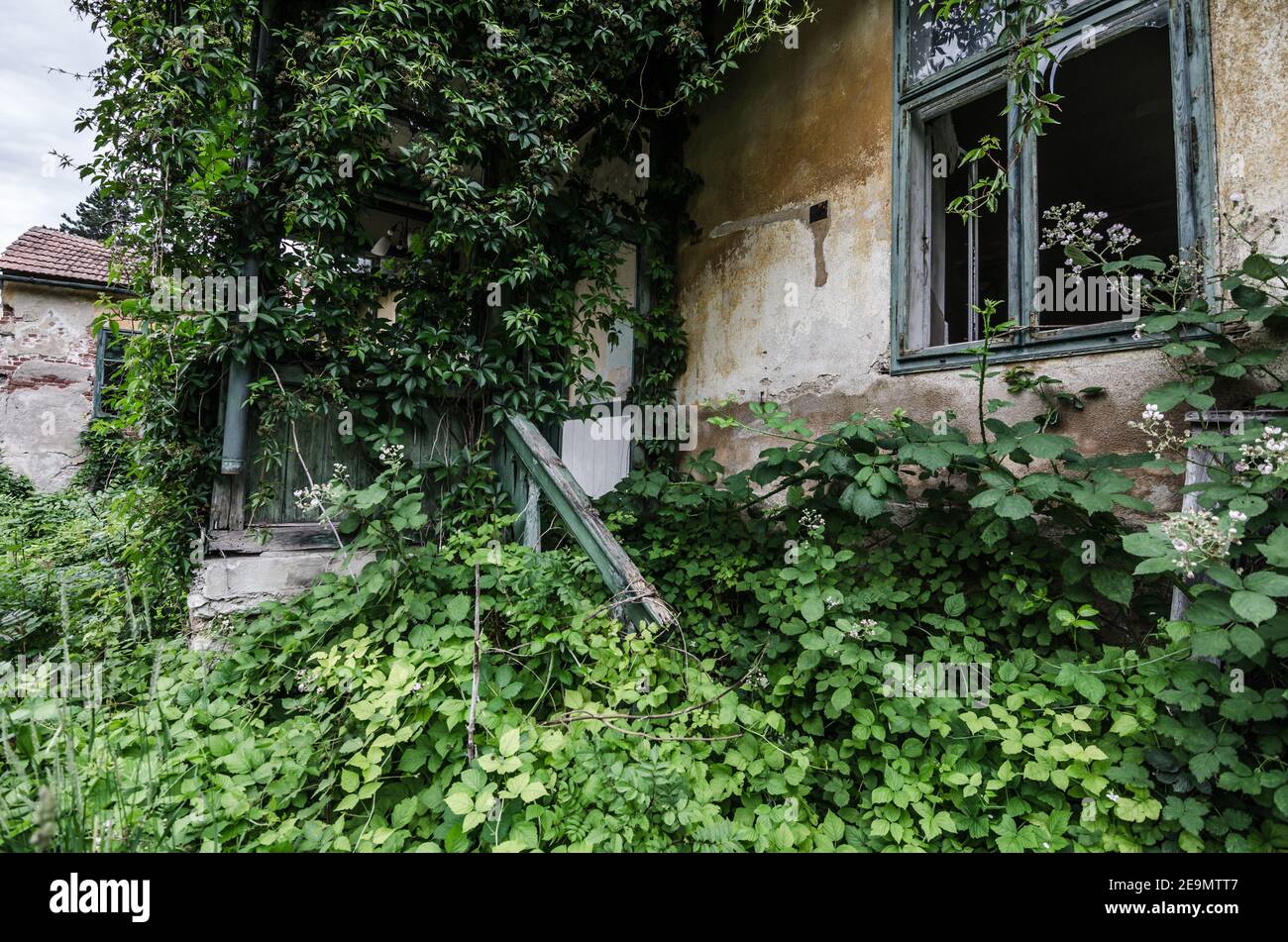 Old villa overgrown garden hi-res stock photography and images - Alamy