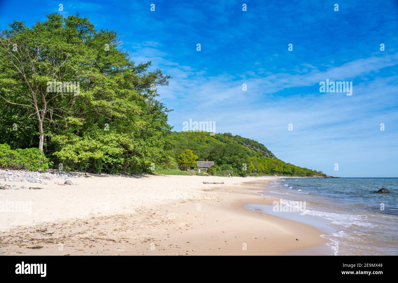 Long Sandy Beach in Osterlen Skane, Stens Huvud National Park Stock ...