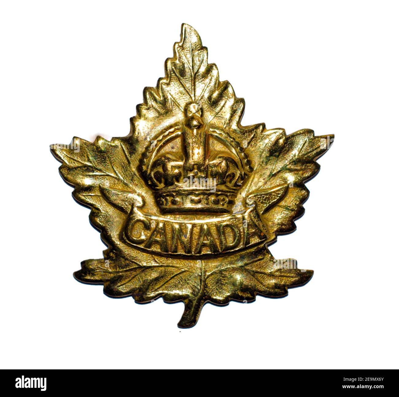Canadian infantry hi-res stock photography and images - Alamy