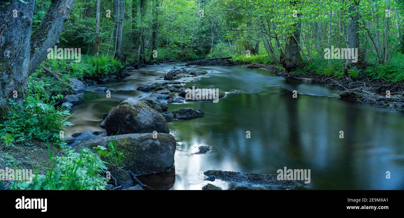 Stunning reflecting Water in Taberg River in Rural wild Lush Forest ...