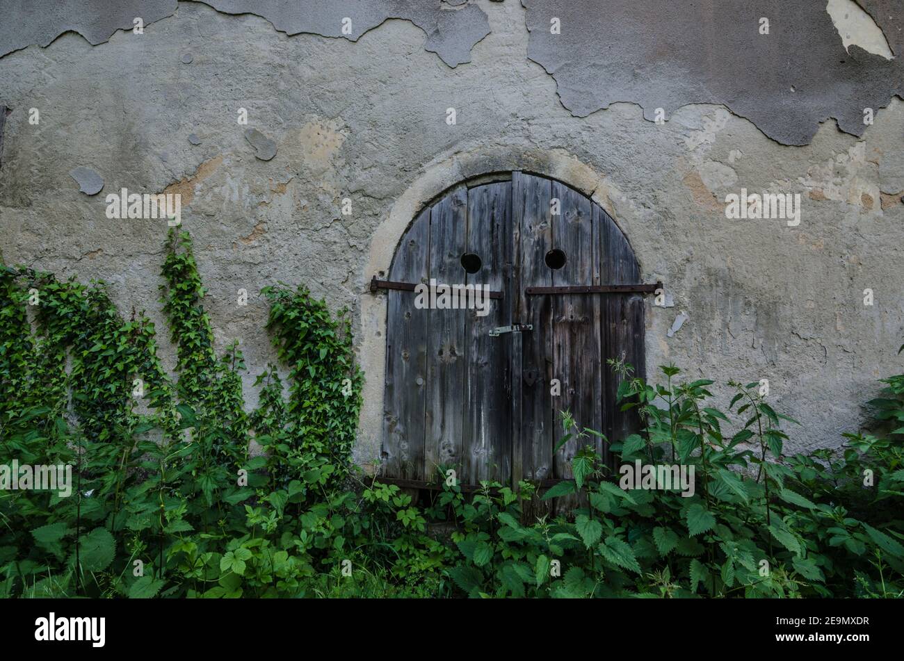 Overgrown castle hi-res stock photography and images - Alamy