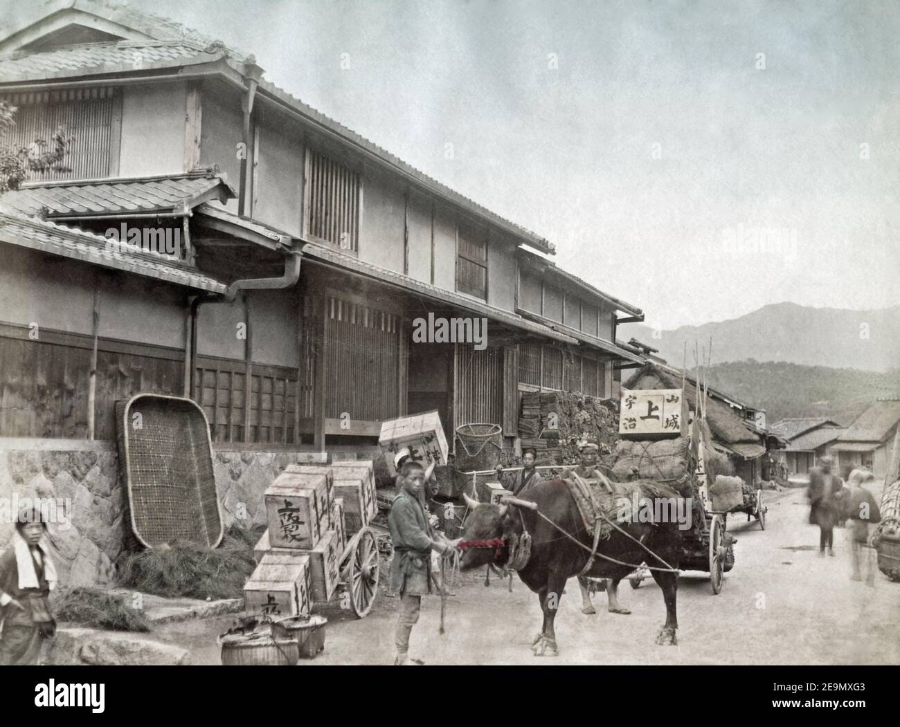 Late 19th century photograph - loading tea boxes onto ox carts, Japan ...