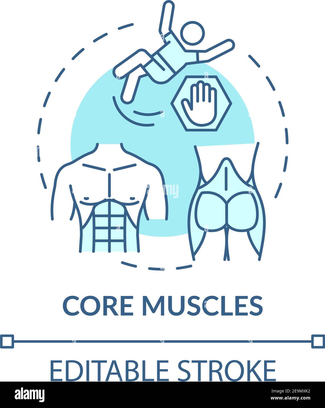 Core muscles concept icon Stock Vector Image & Art - Alamy