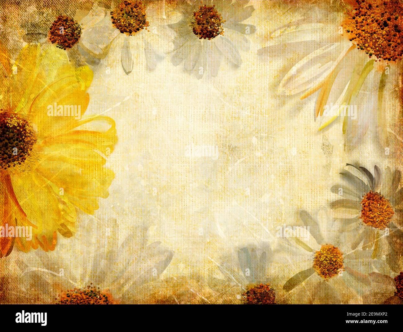 Decorative floral backgrounds Stock Photo - Alamy