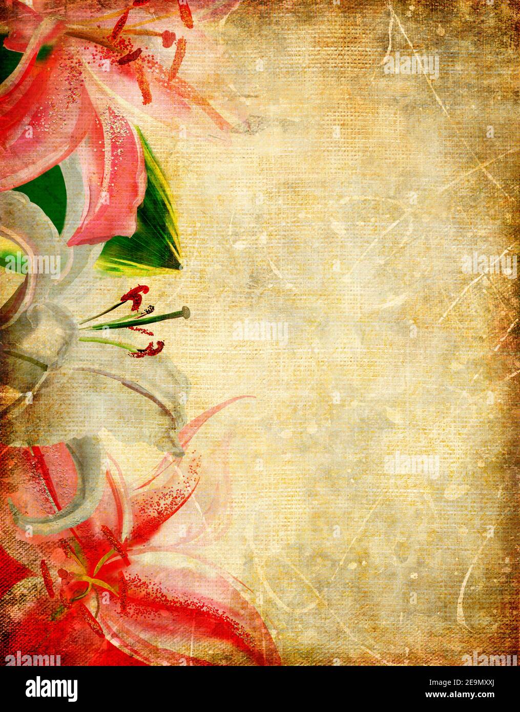 Decorative floral backgrounds Stock Photo - Alamy