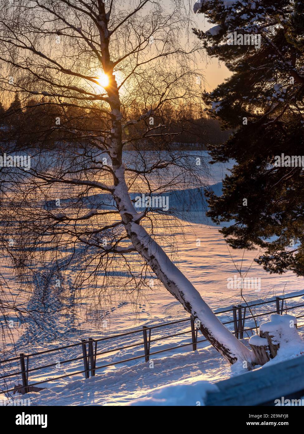 Golden winter hi-res stock photography and images - Alamy