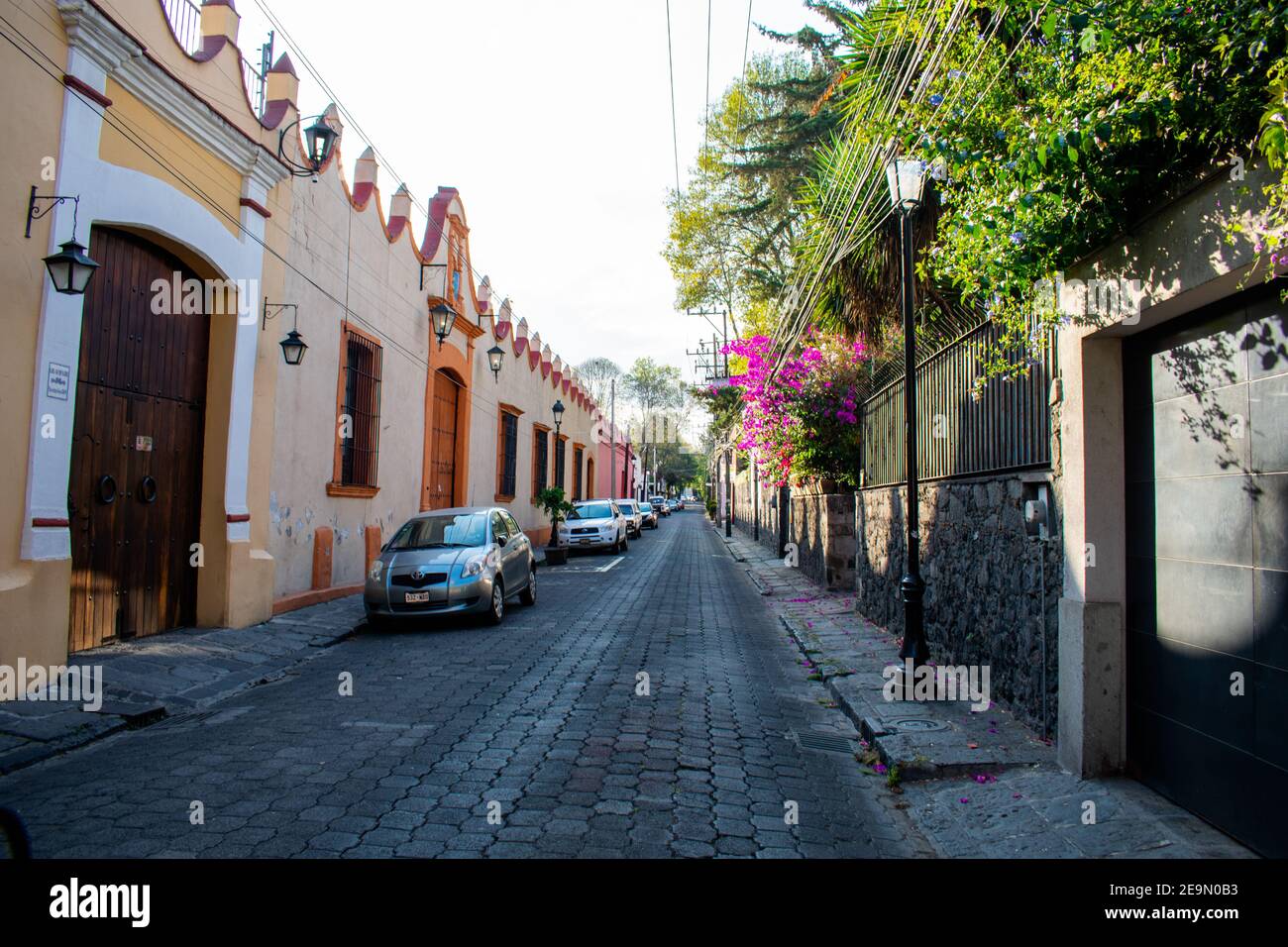 Colorful Hispanic houses and flowers in street from Mexico City Stock ...