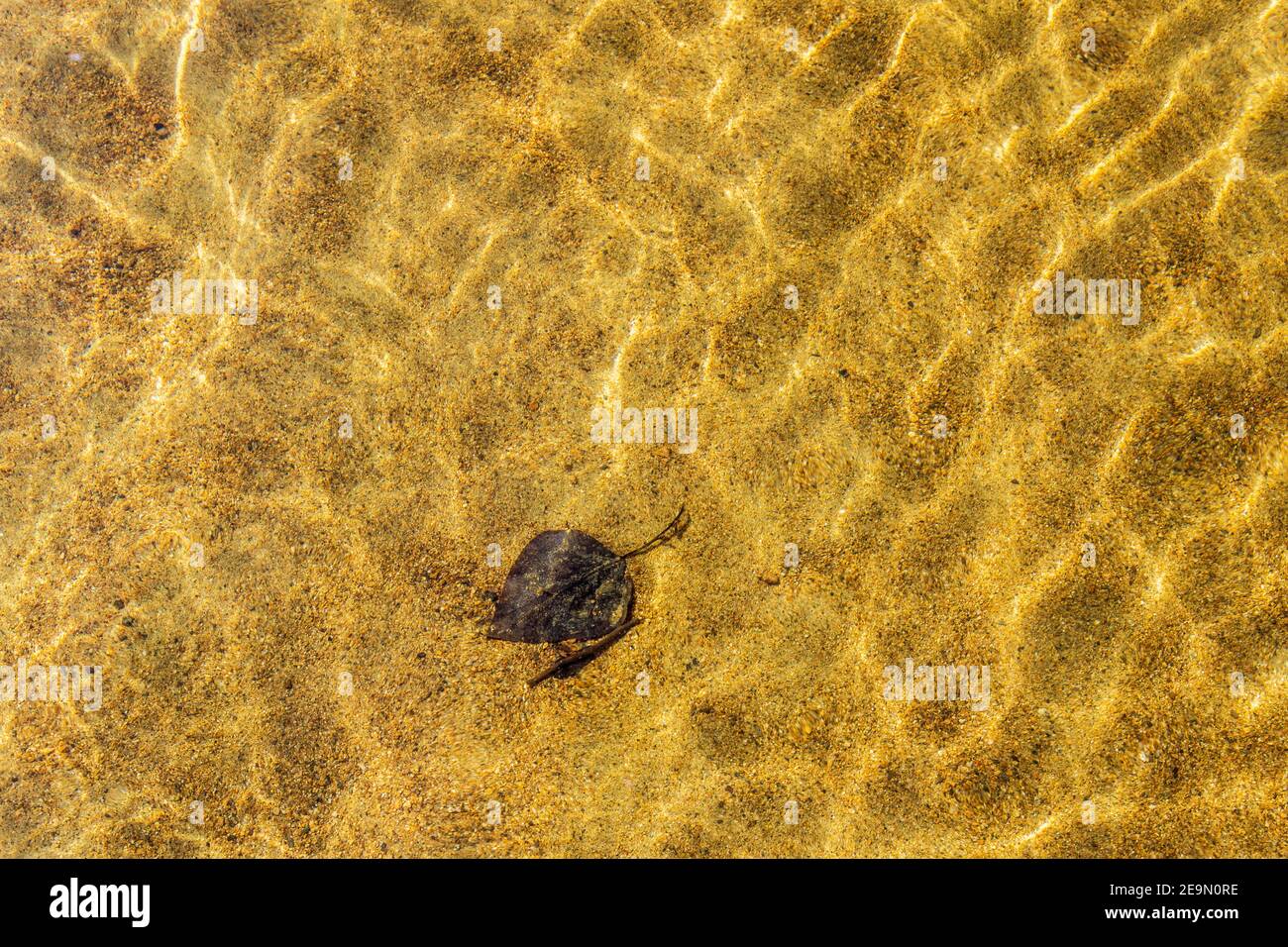 view of the bottom of the lake through clear water rocks and sand ...