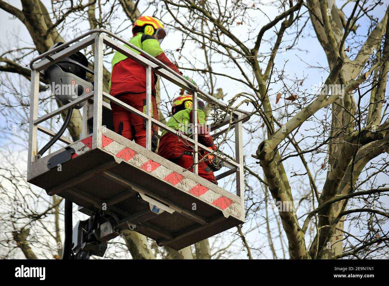 Workers on the working platform during tree cutting or tree maintenance ...