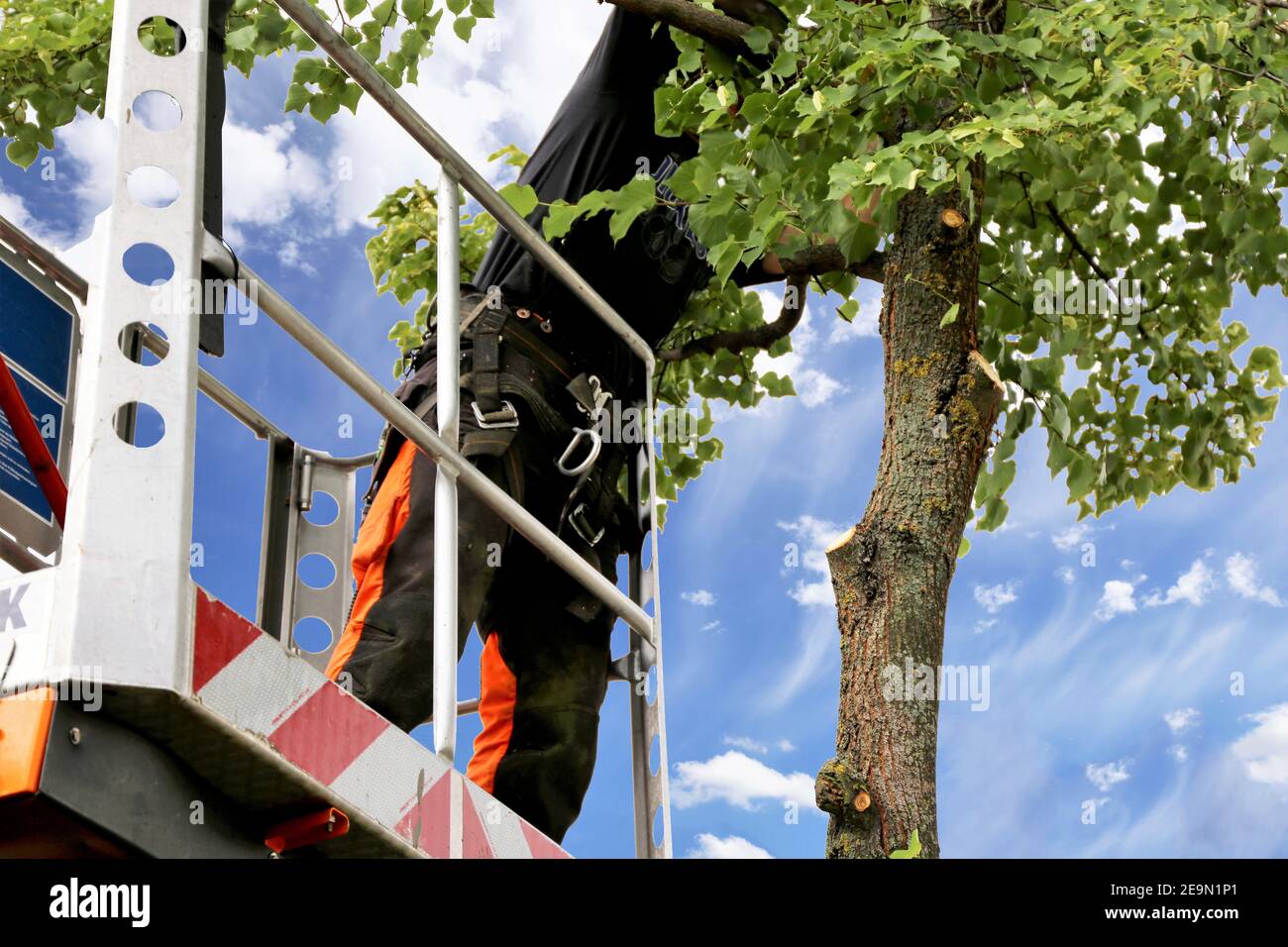 Workers on the working platform during tree cutting or tree maintenance ...