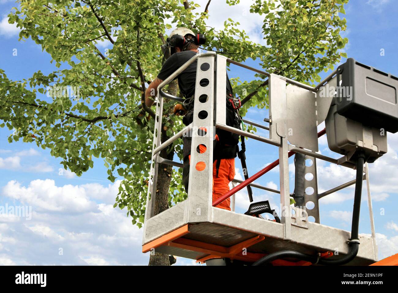 Workers on the working platform during tree cutting or tree maintenance ...