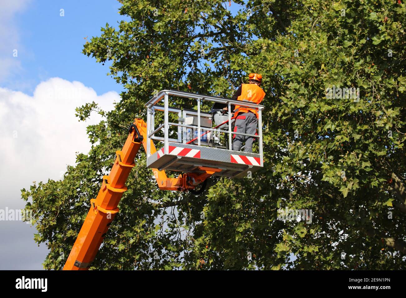 Workers on the working platform during tree cutting or tree maintenance ...