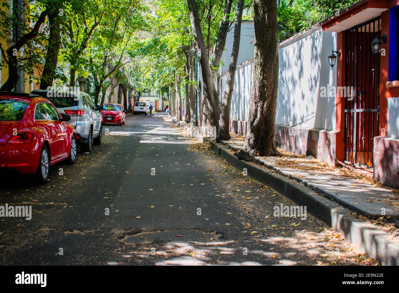 Hispanic houses and row of trees in street from Mexico City Stock Photo ...