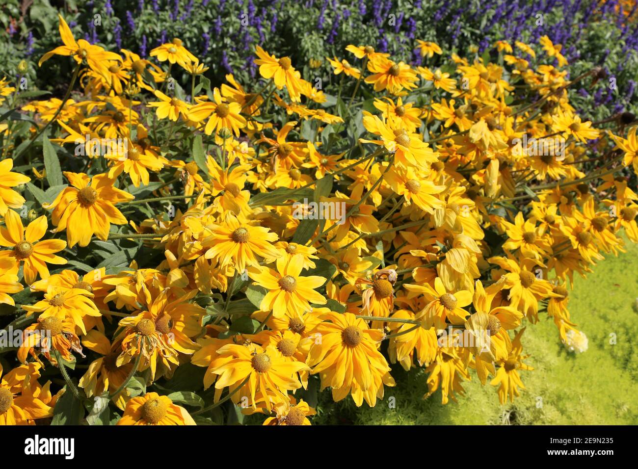 Neat and tidy flower garden Stock Photo - Alamy