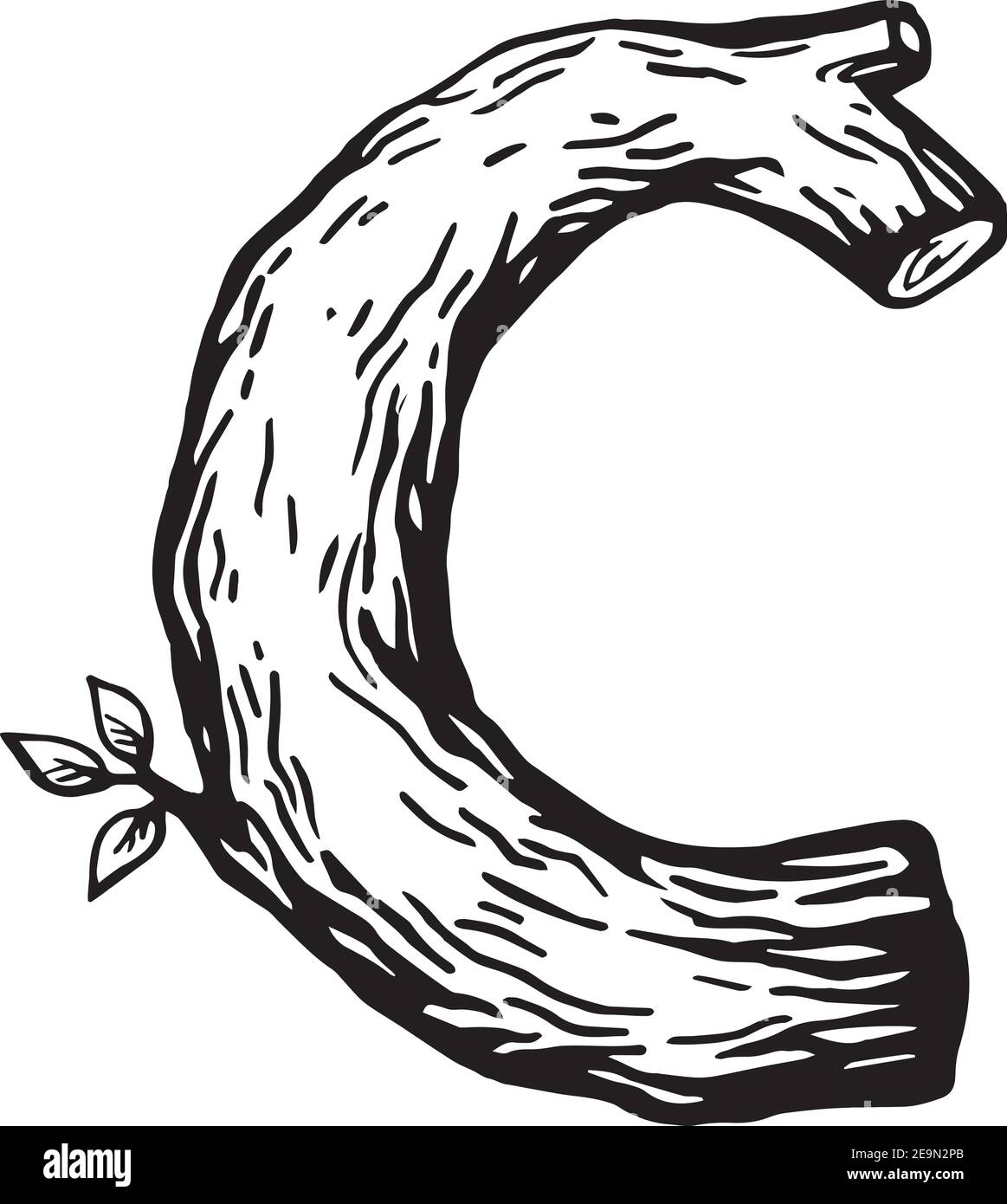 Black engraving Letter C made of wood with leaves on the white ...