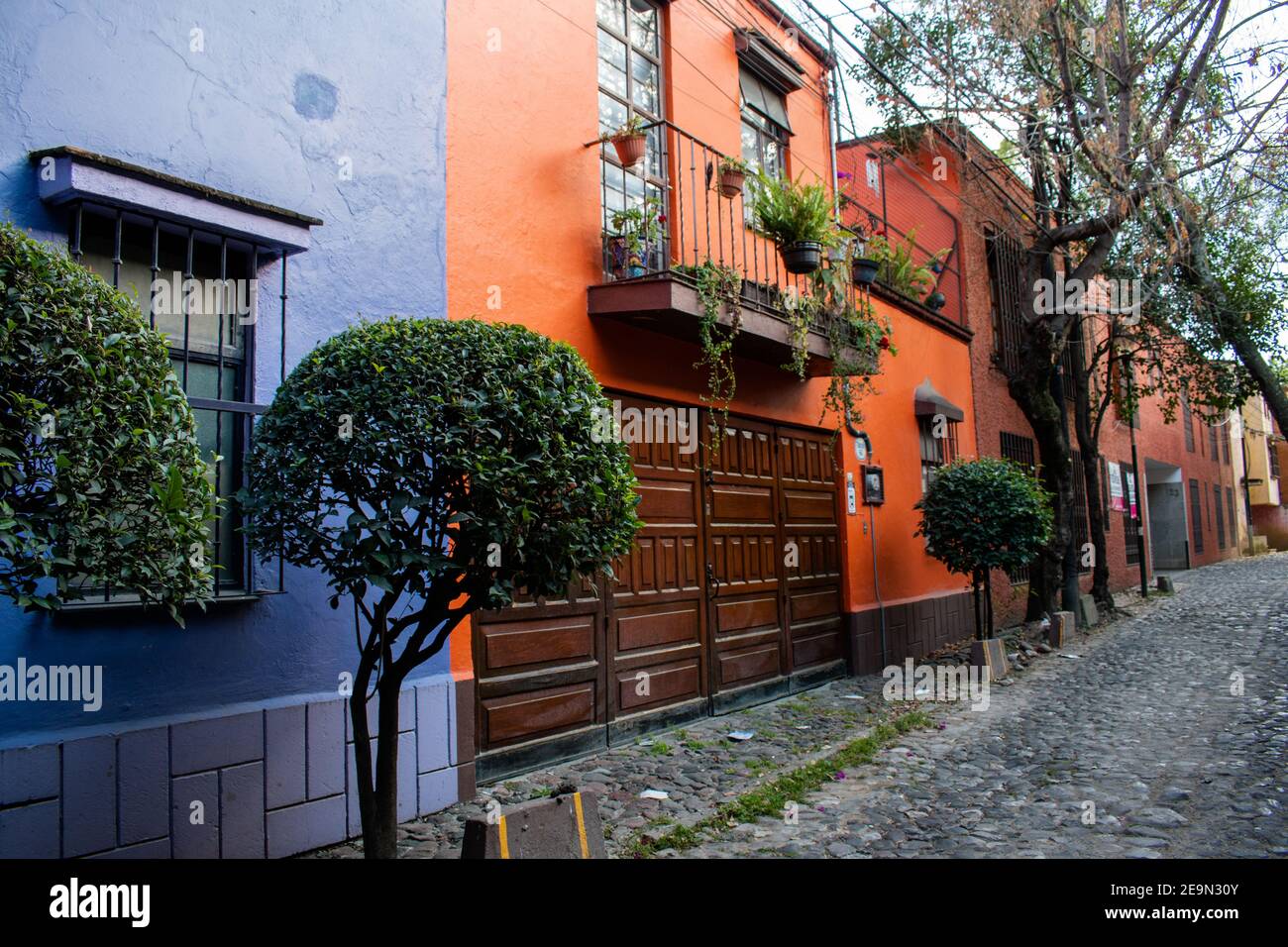 Colorful Hispanic houses and beautiful bushes in Mexico City Stock ...