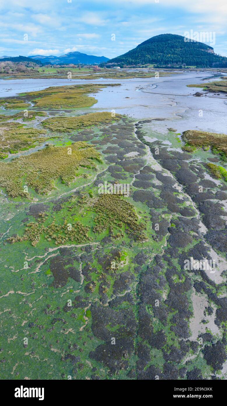 Tidal Marsh, Tidal Wetland (MARISMA), Low Tide, Marismas de Santoña ...