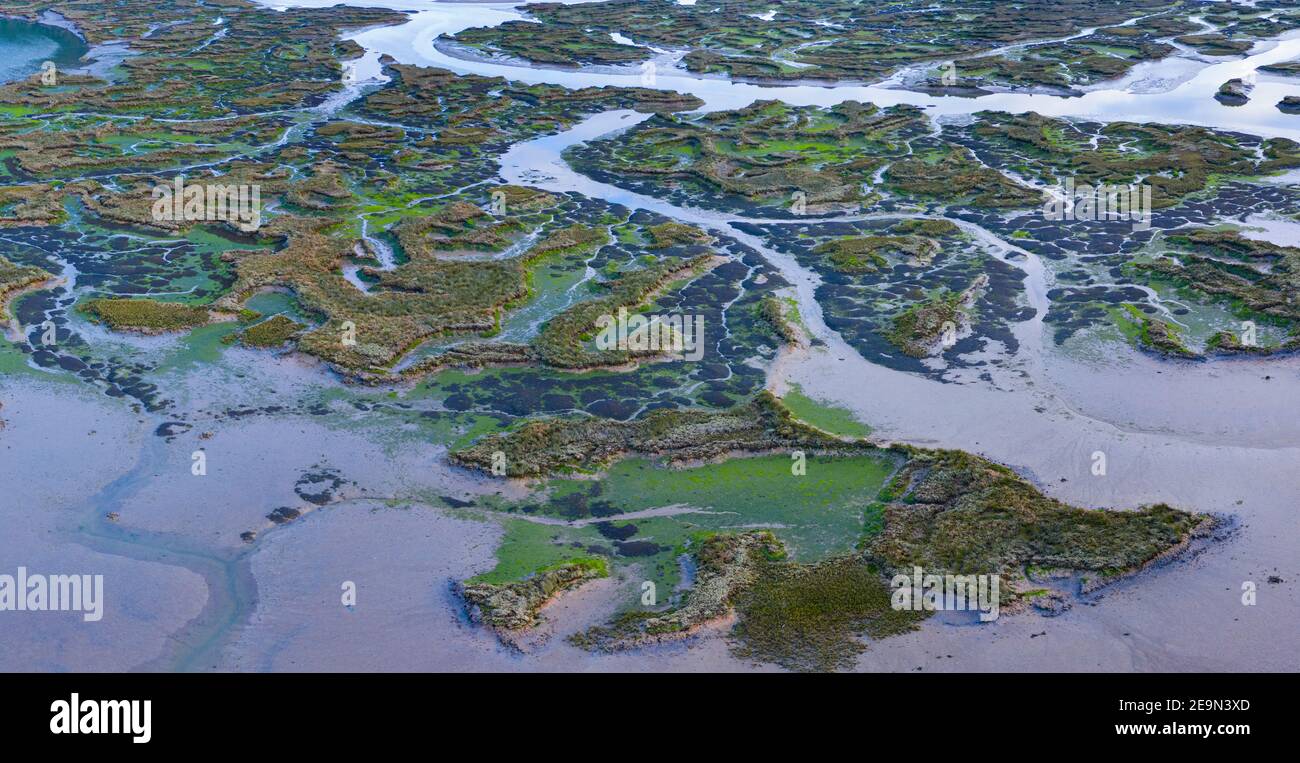Tidal Marsh, Tidal Wetland (MARISMA), Low Tide, Marismas de Santoña ...